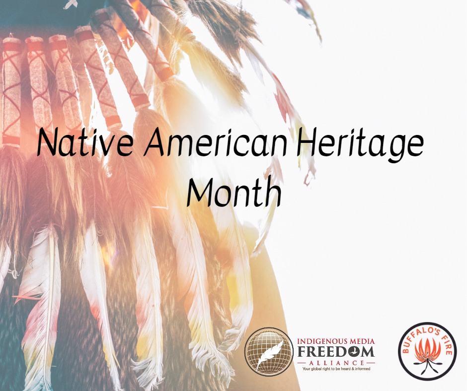 Celebrate Native American Heritage Month by Making Your Voice Heard ...