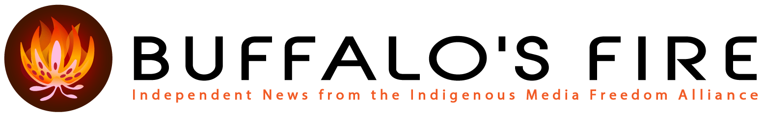 Free Press & Sunshine — Buffalo’s Fire