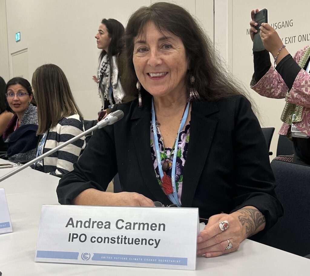 Indigenous world leader shares insights on three decades of treaty ...