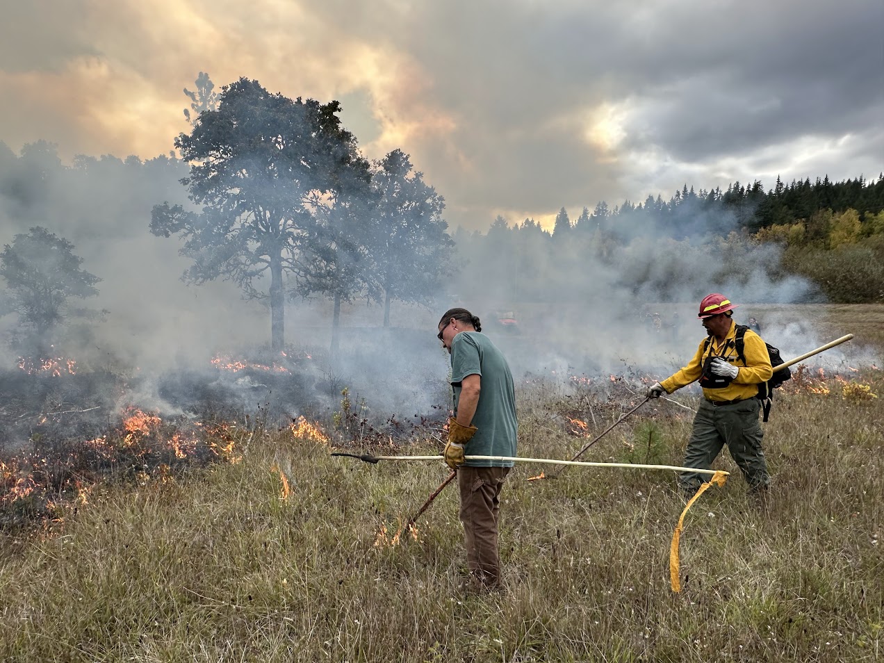 'Good fire' at Chaa-lamali: Young Natives practice cultural burn ...