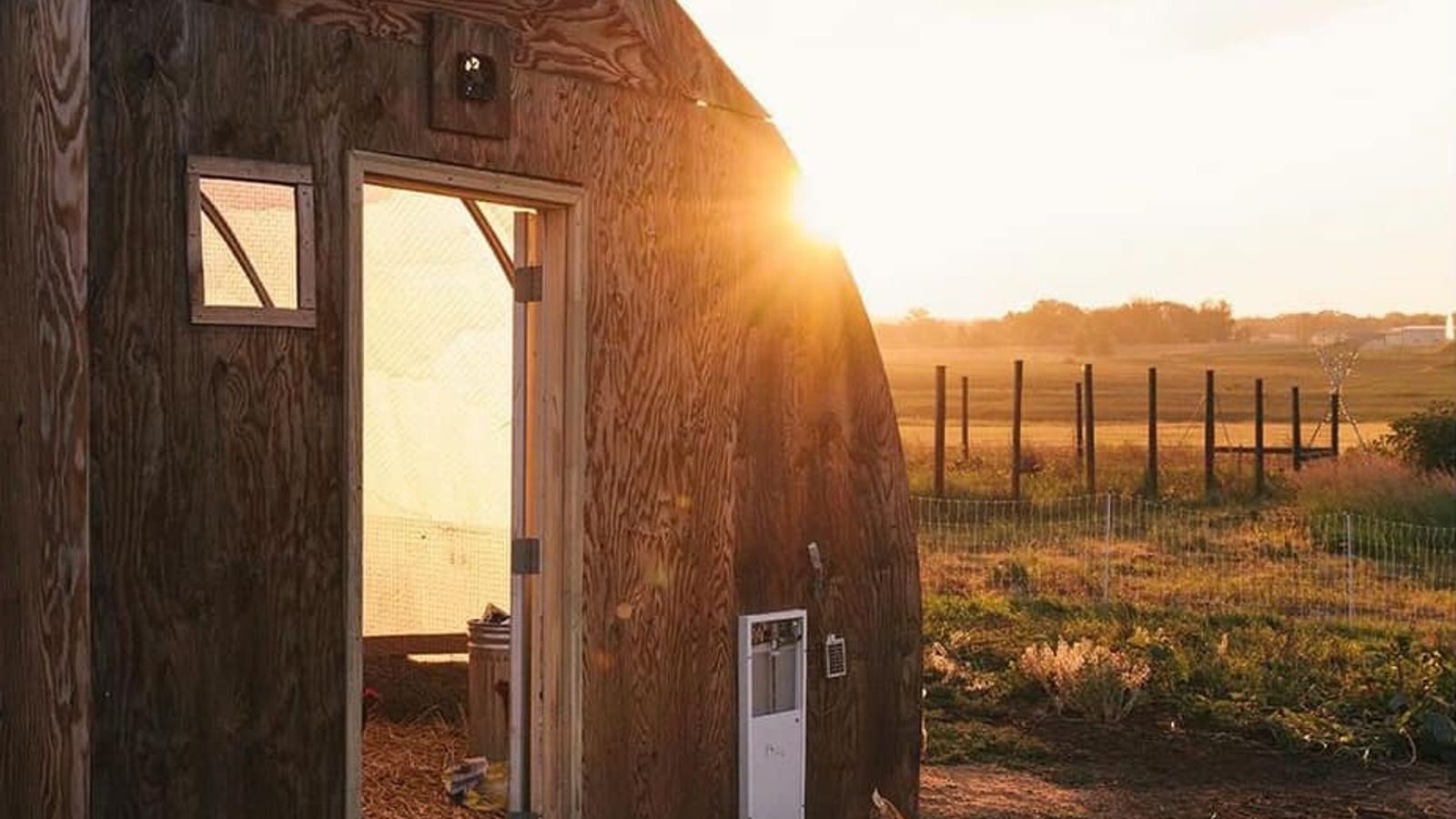 Sicangu Lakota citizens grow vision for future of food | Buffalo’s Fire