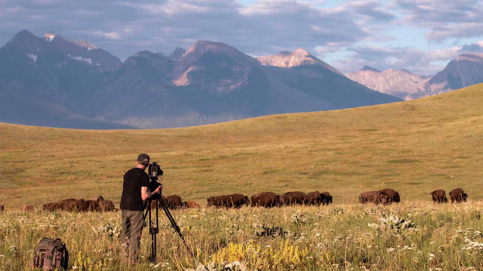 MHA citizen featured in upcoming PBS documentary ‘The American Buffalo ...